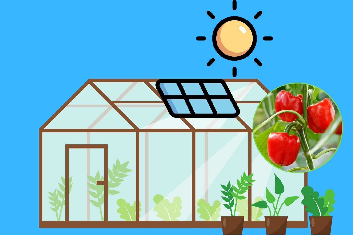 Agrivoltaica: llega el invernadero fotovoltaico que produce energía y ...