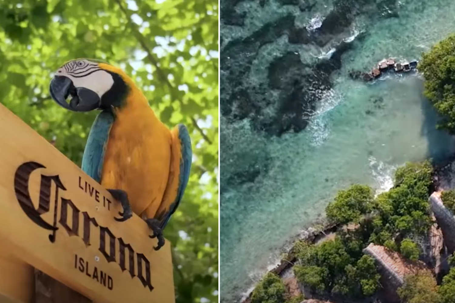 ¿Corona Island, el paraíso de la sostenibilidad o un paraíso de marca ...