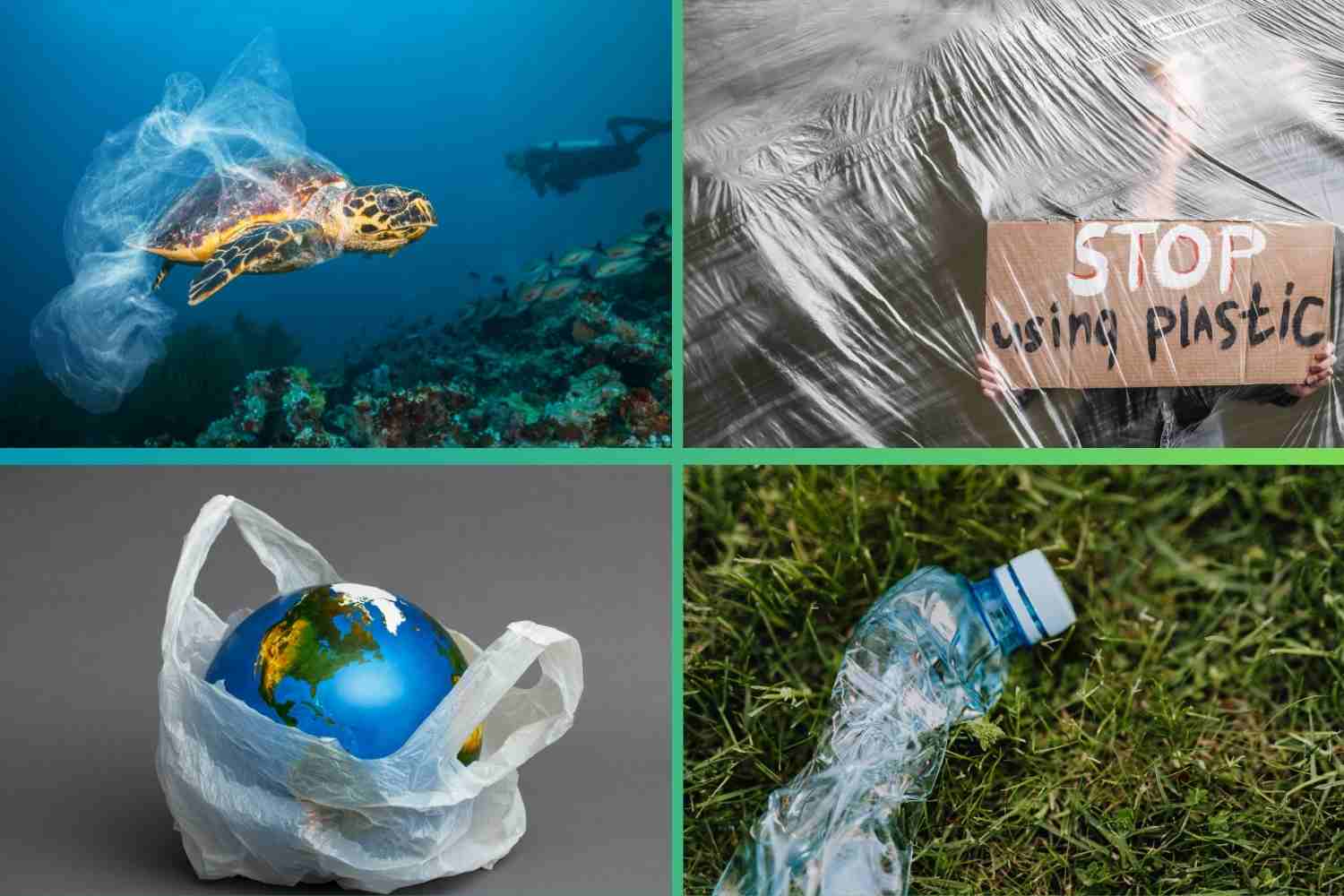 Plástico en todas partes, incluso dentro de nosotros: el Día Mundial ...