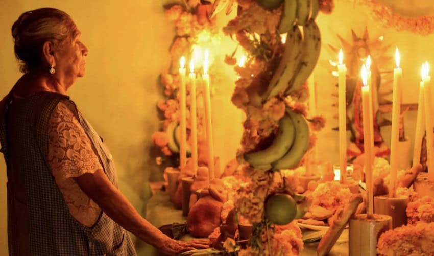 ¿Por qué los mexicanos comen pan de muerto todo el año? - Aconcagua.lat