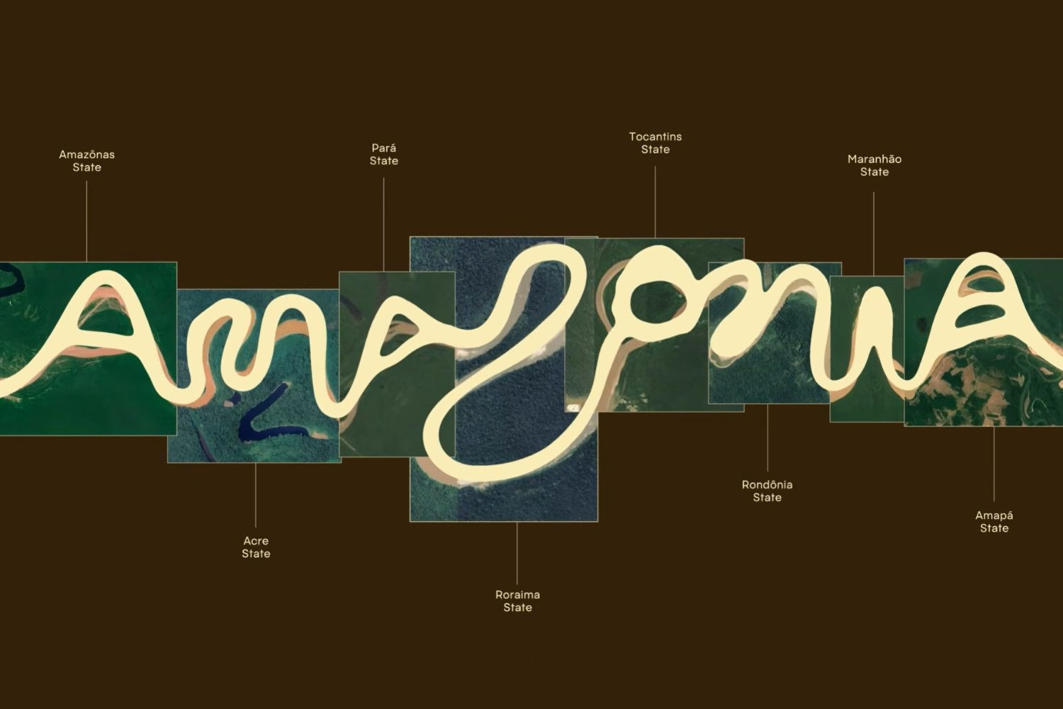 ¡El nuevo logo de la Amazonía brasileña es brillante! Las letras siguen ...